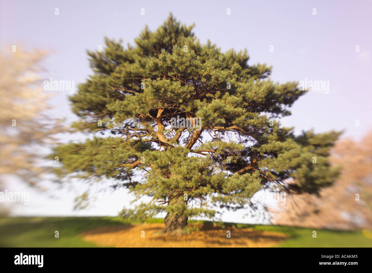 Lens baby effect hi-res stock photography and images - Alamy