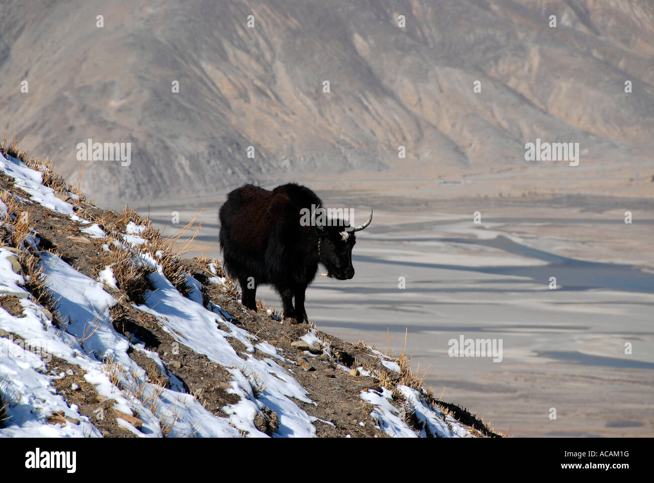 Lhasa River High Resolution Stock Photography and Images - Alamy