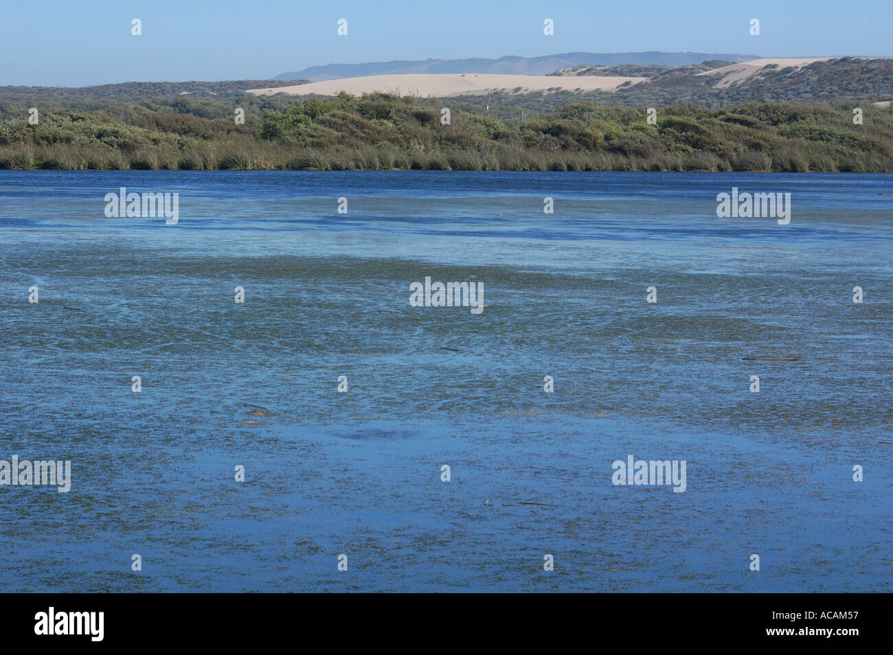 Oso Flaco Lake Stock Photo - Alamy