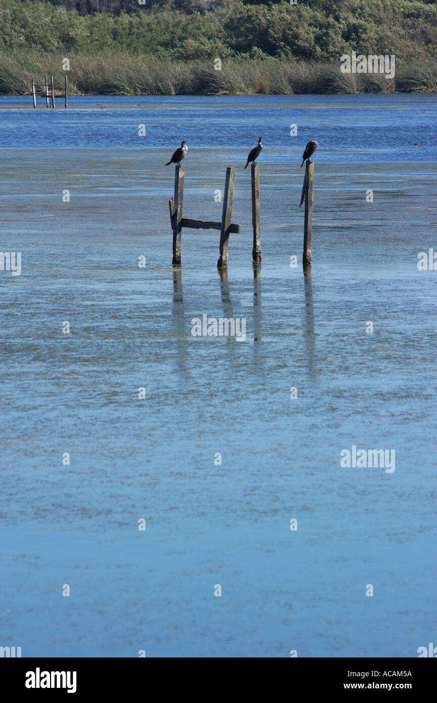 Oso Flaco Lake Stock Photo - Alamy