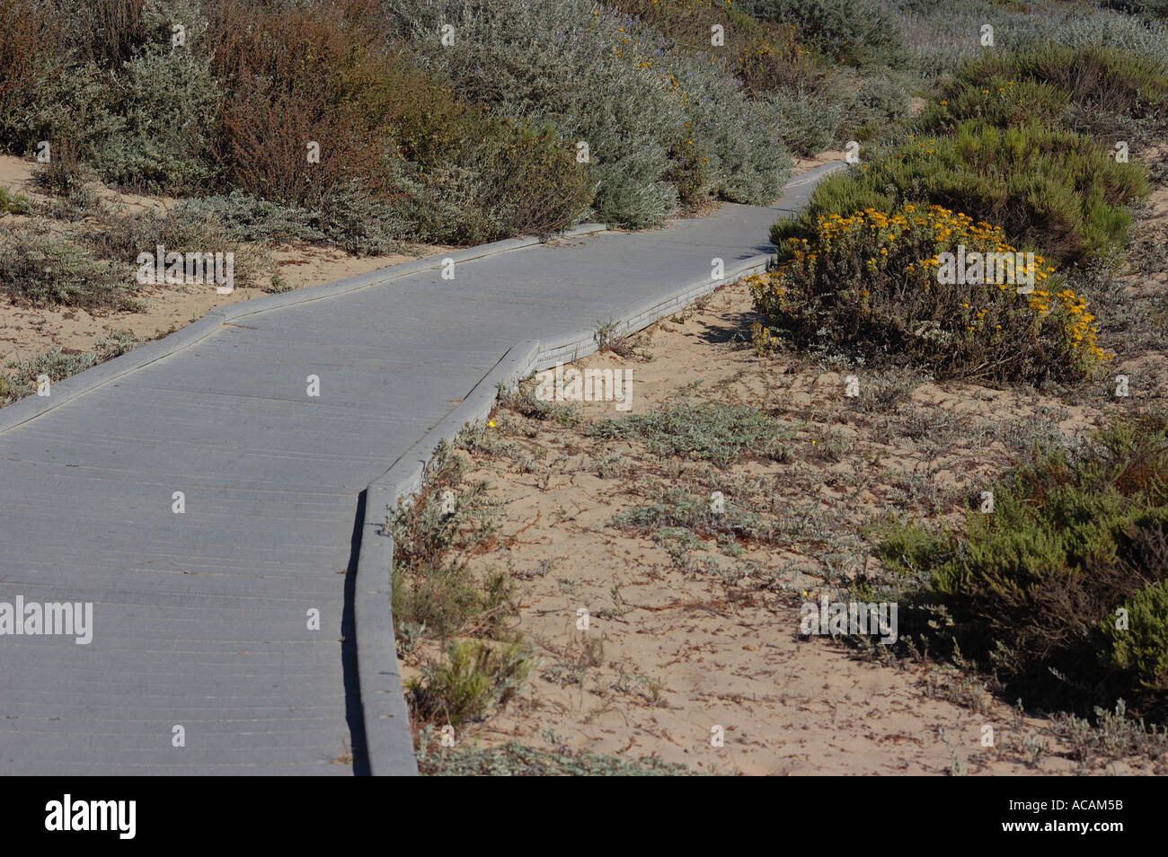 Oso Flaco Lake Stock Photo - Alamy