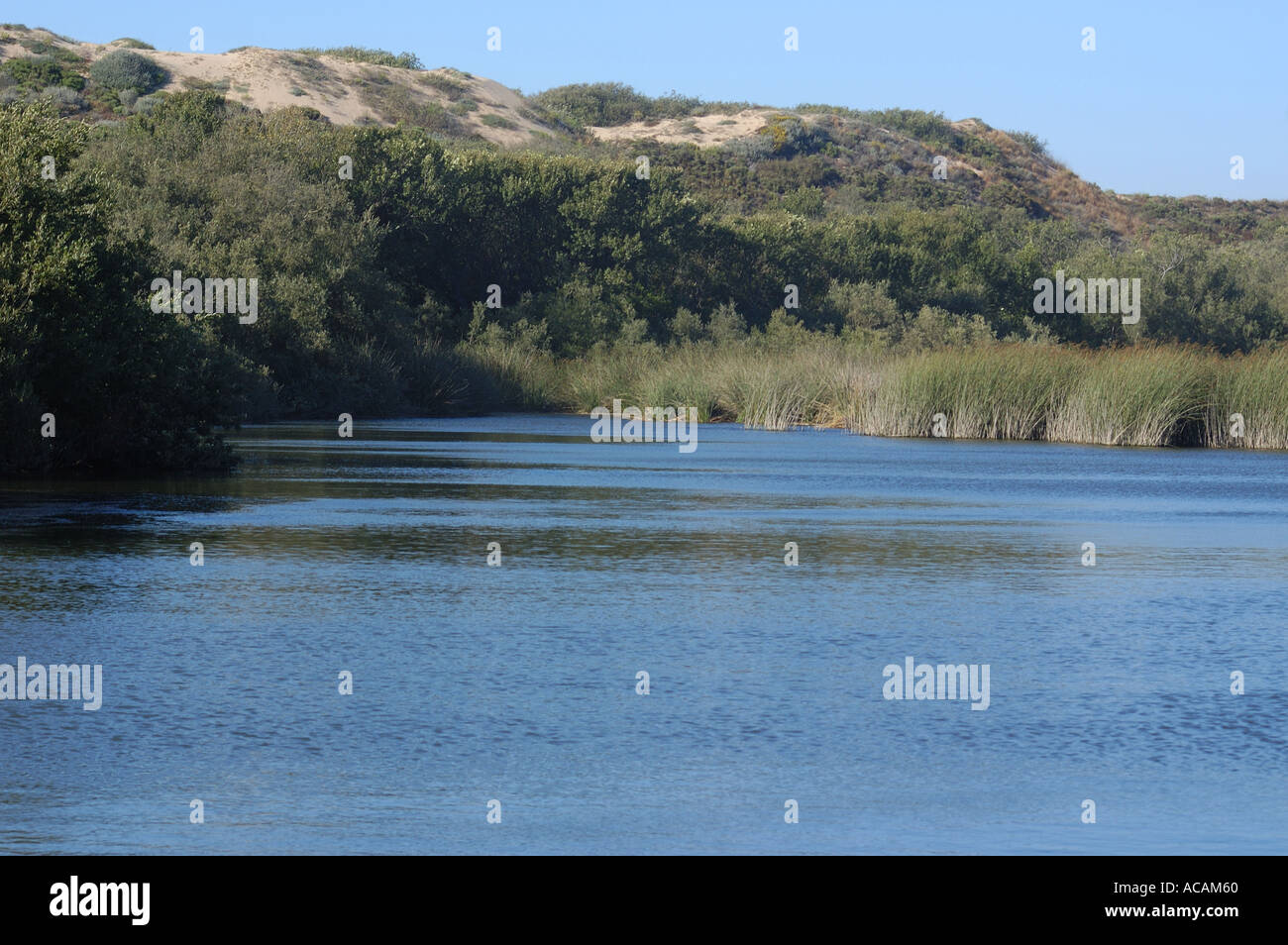 Oso Flaco Lake Stock Photo - Alamy
