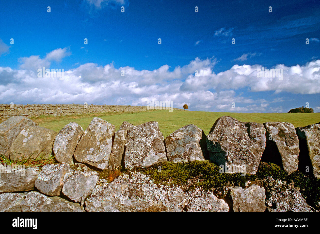 Traditional dry stone wall in foreground of field North Yorkshire ...