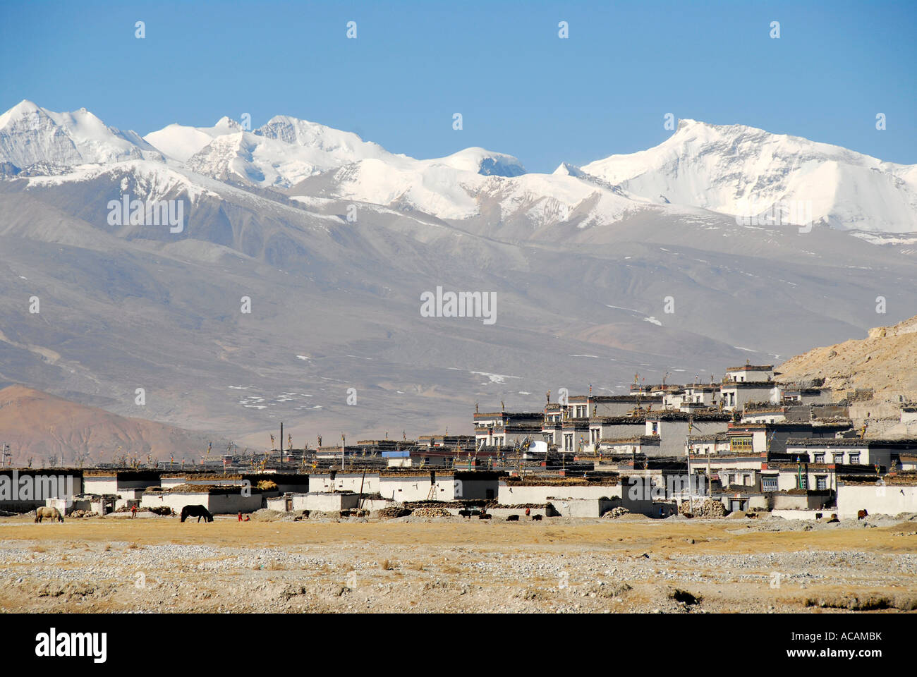Village below ice-capped mountains Tingri Tibet China Stock Photo - Alamy