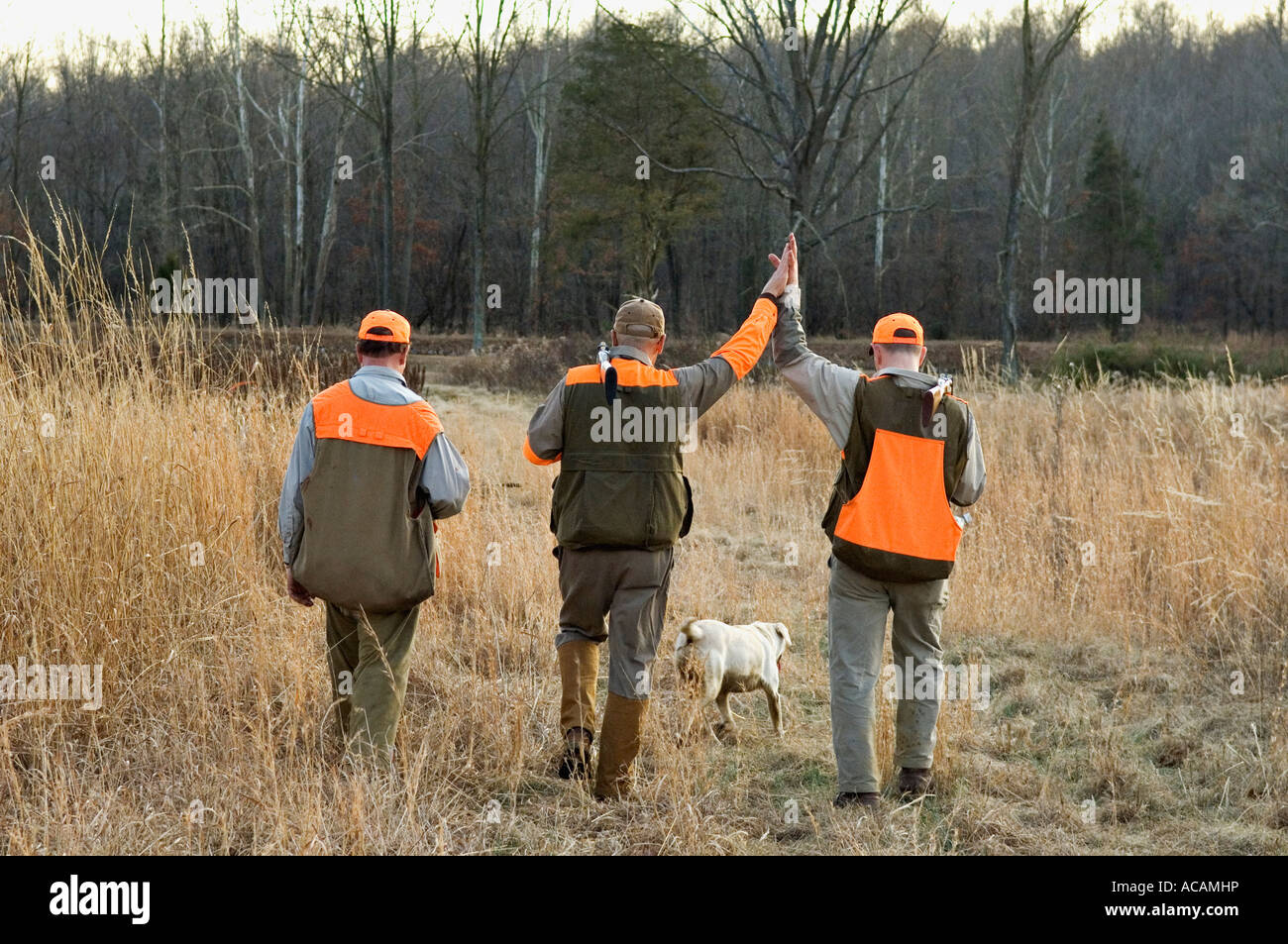 Labrador with game bird hi-res stock photography and images - Alamy