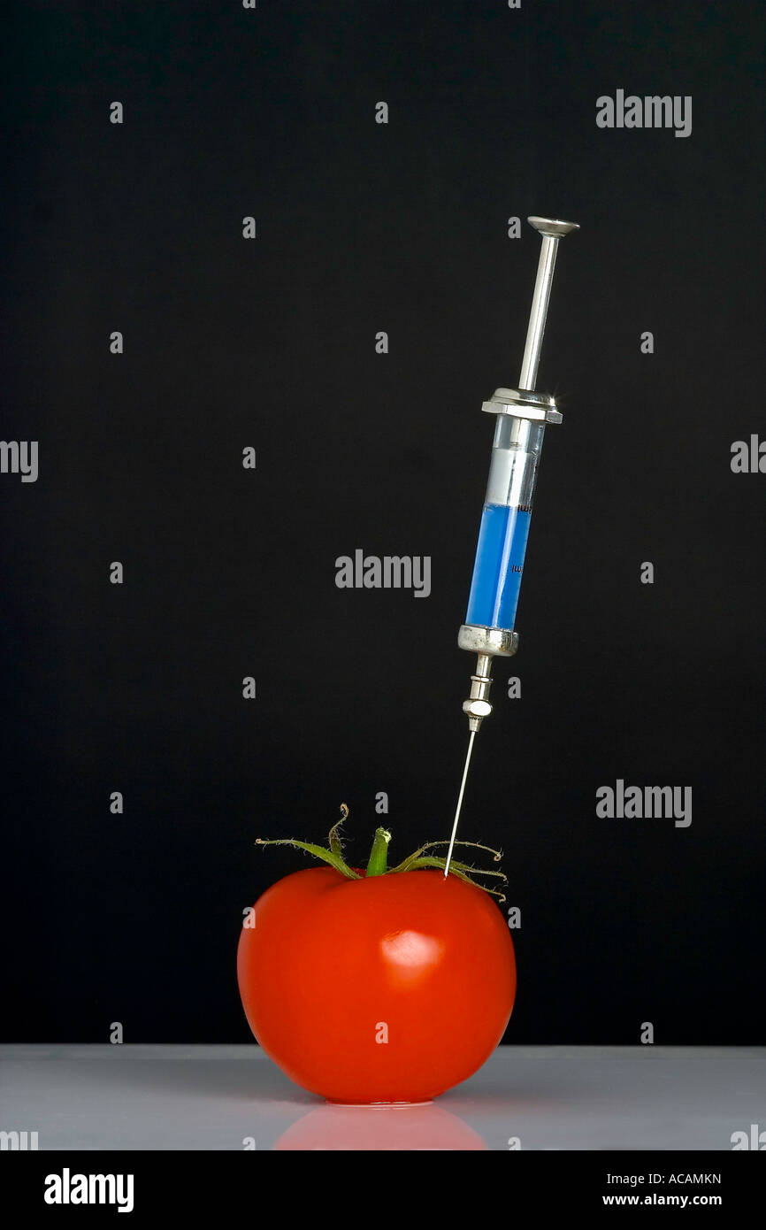 Tomato and injection Stock Photo - Alamy