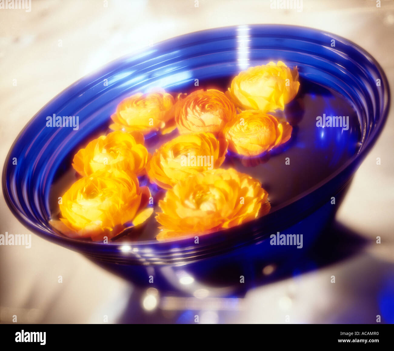 Blue glass flowers hi-res stock photography and images - Alamy