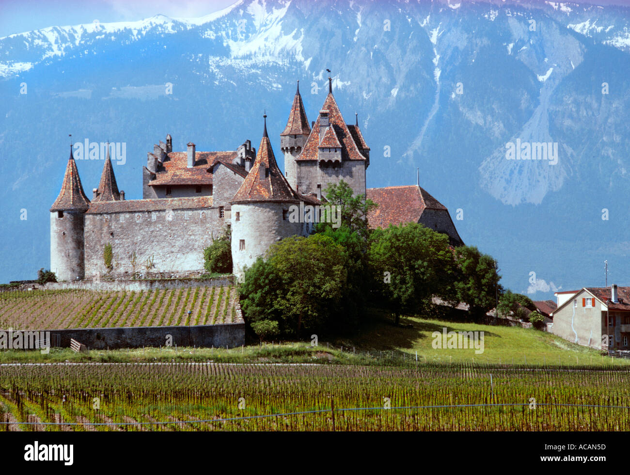 Chateau Aigle Vaud Switzerland Stock Photo - Alamy