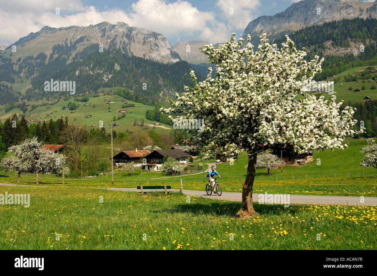 Switzerland simmental valley hi-res stock photography and images - Alamy