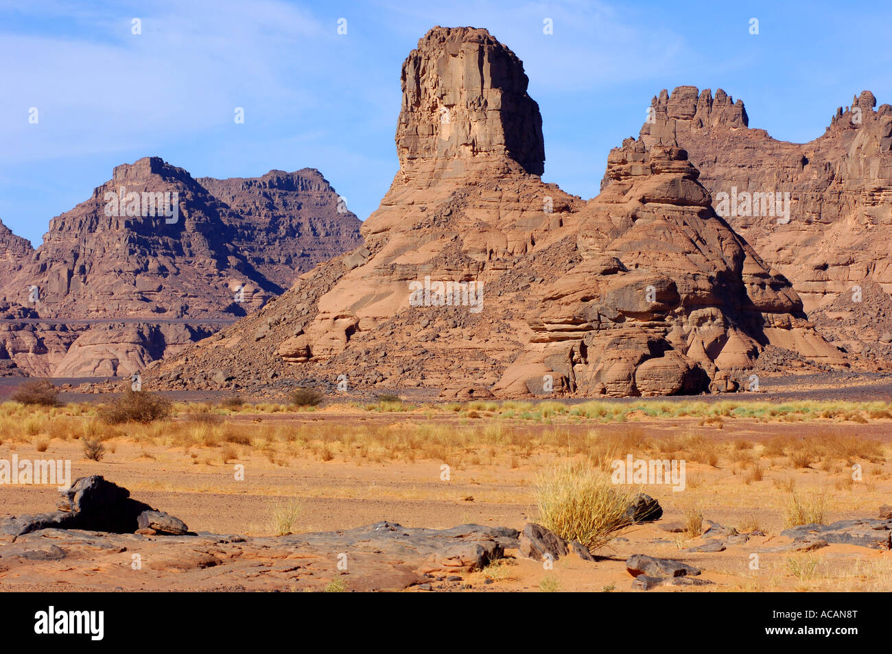 Sparesly vegetation in the Hamada desert, Acacus Mountains, Libya Stock ...