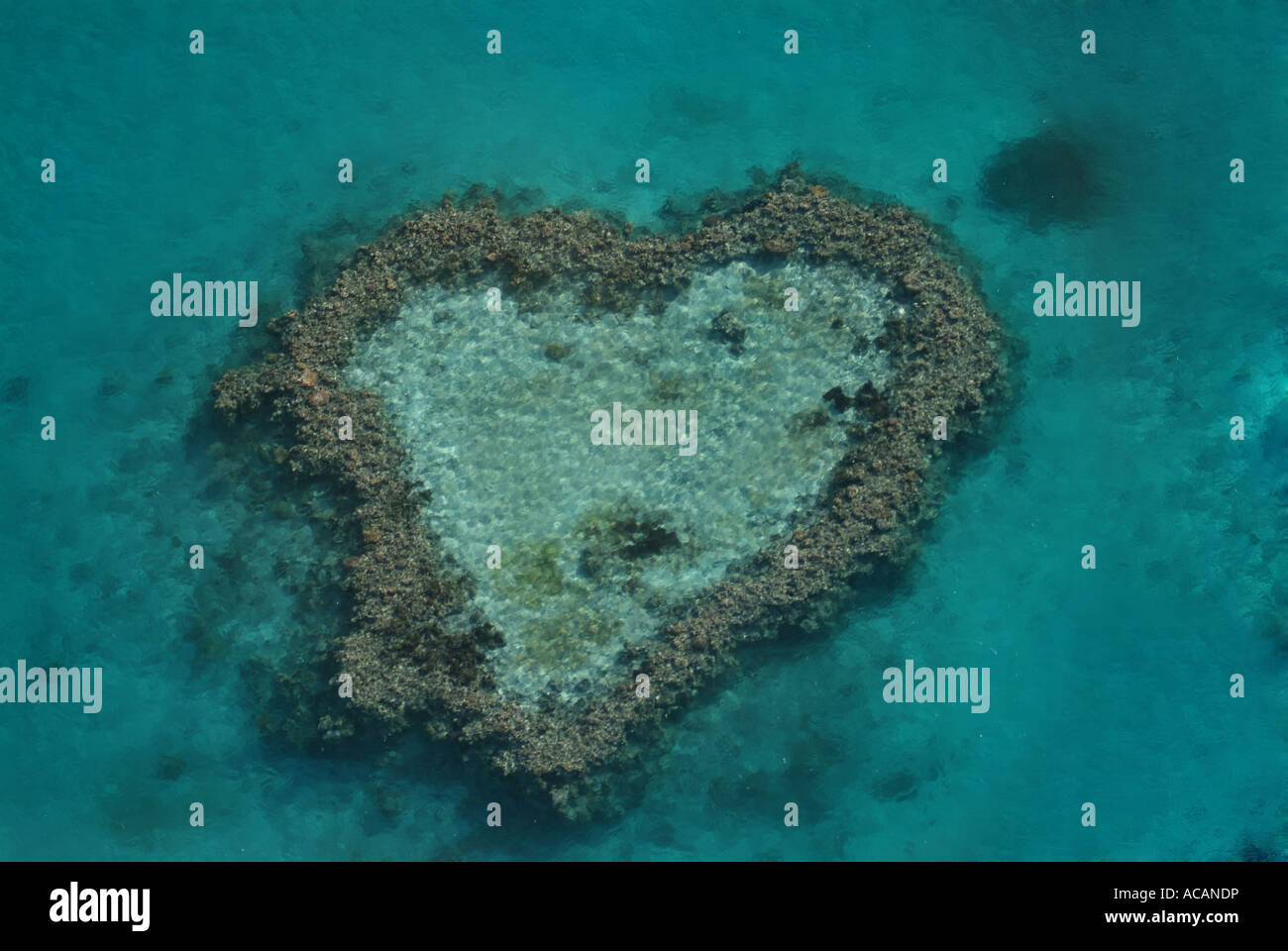 Heart Reef, Great Barrier Reef, Queensland, Australia Stock Photo - Alamy