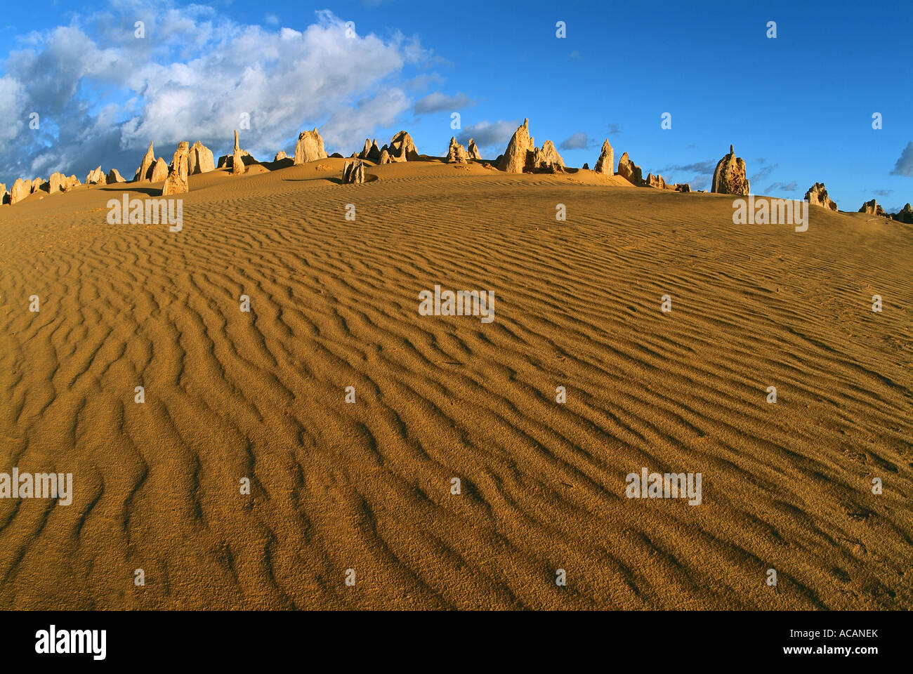Pinnacles Desert, Nambung Nationalpark, Kalbarri, Western Australia ...