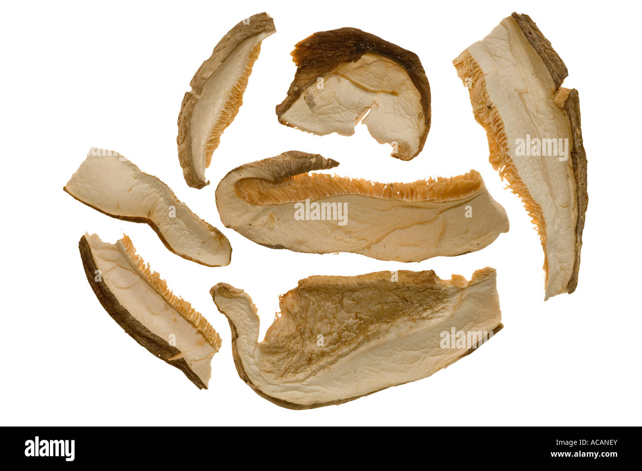 Shiitake (Lentinula edodes) mushrooms, dried Stock Photo - Alamy