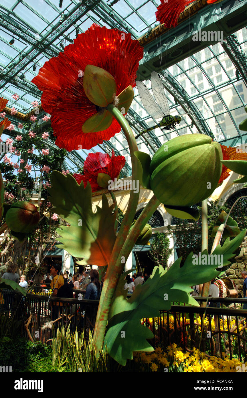 Giant glass poppies in the conservatory at The Bellagio Hotel and ...