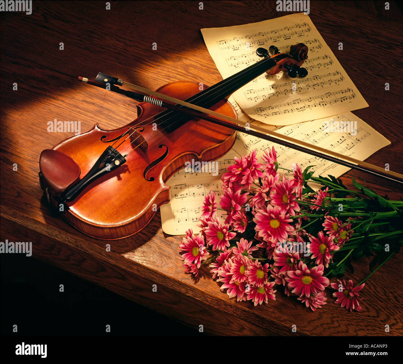 Your violin hi-res stock photography and images - Alamy