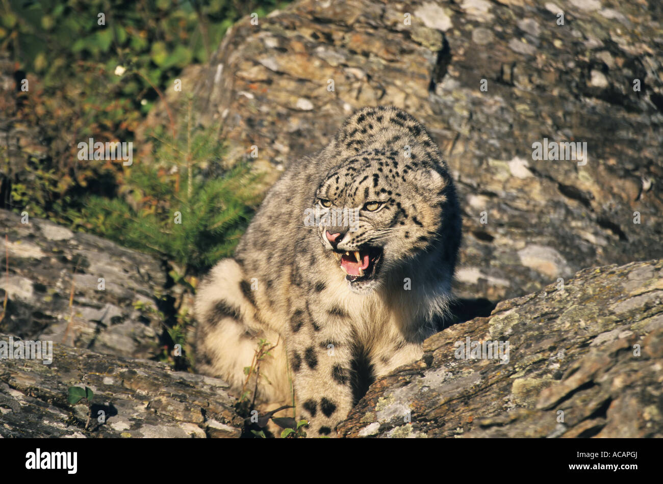 Nähere hi-res stock photography and images - Alamy