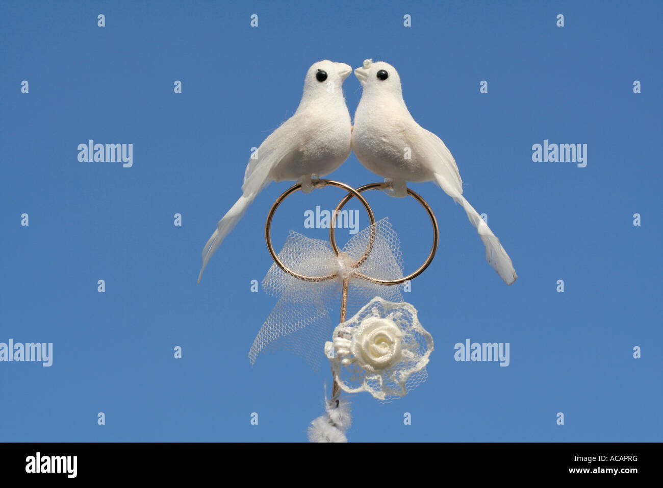 Blue Wedding Doves With Rings