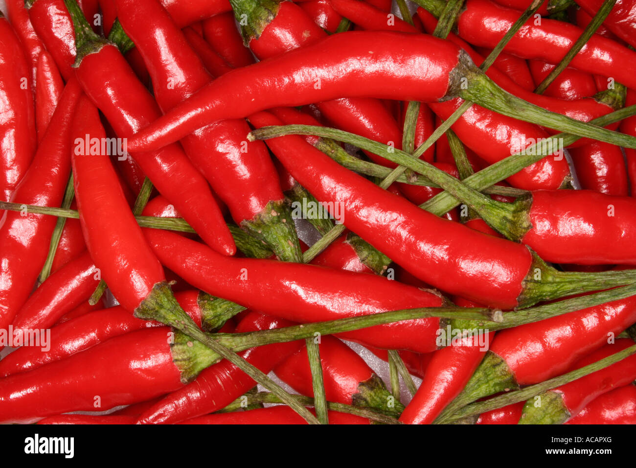Lots of chili Stock Photo - Alamy