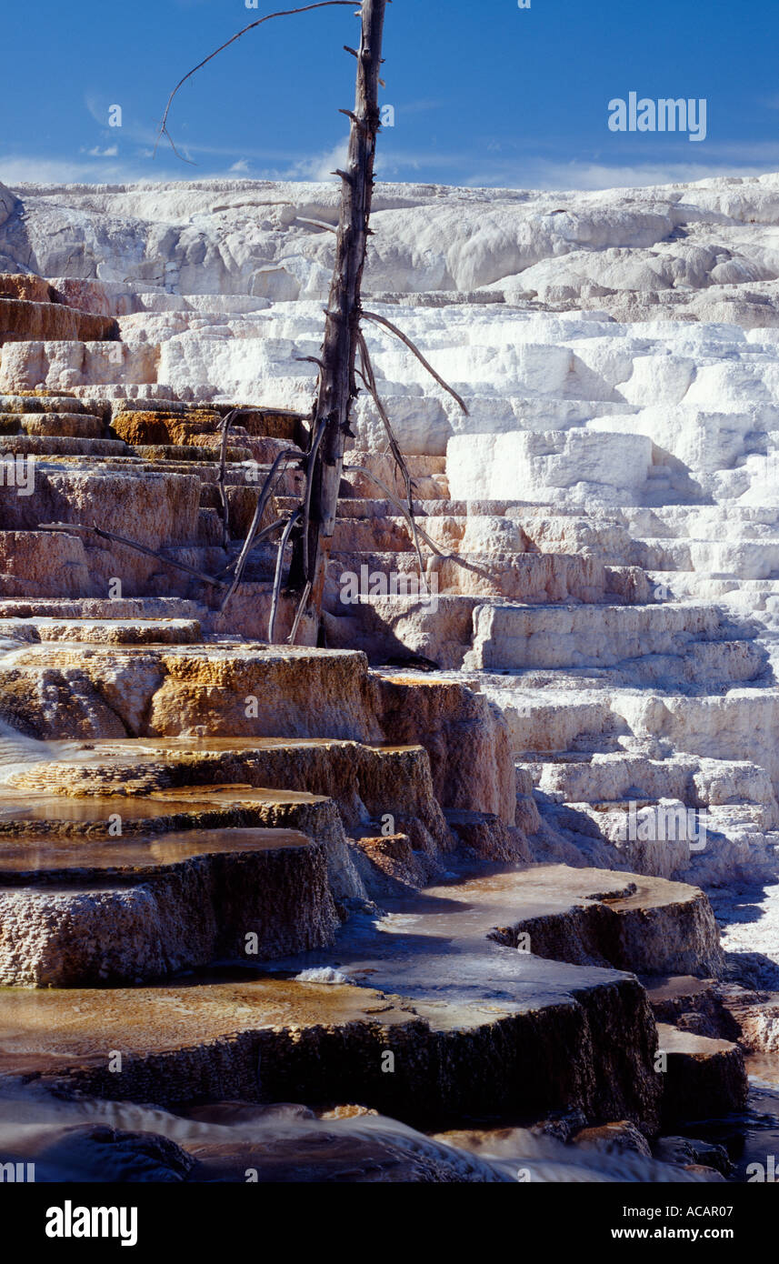Yellowstone travertine hi-res stock photography and images - Alamy