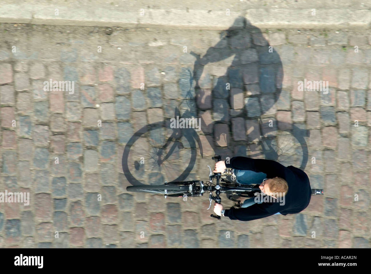 Birds casting shadow hi-res stock photography and images - Alamy