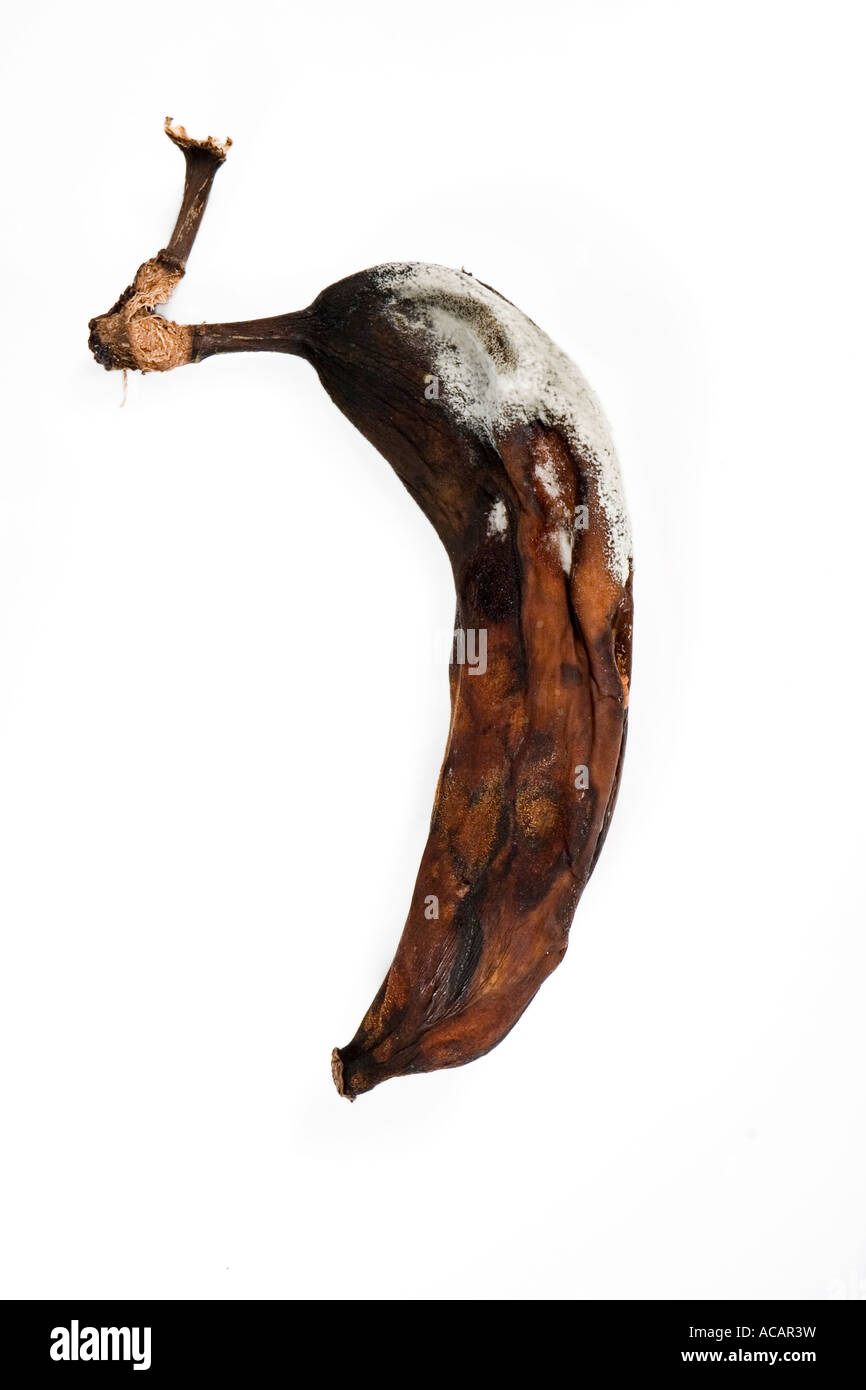 Closeup Of Moldy Bananas High Resolution Stock Photography and Images ...