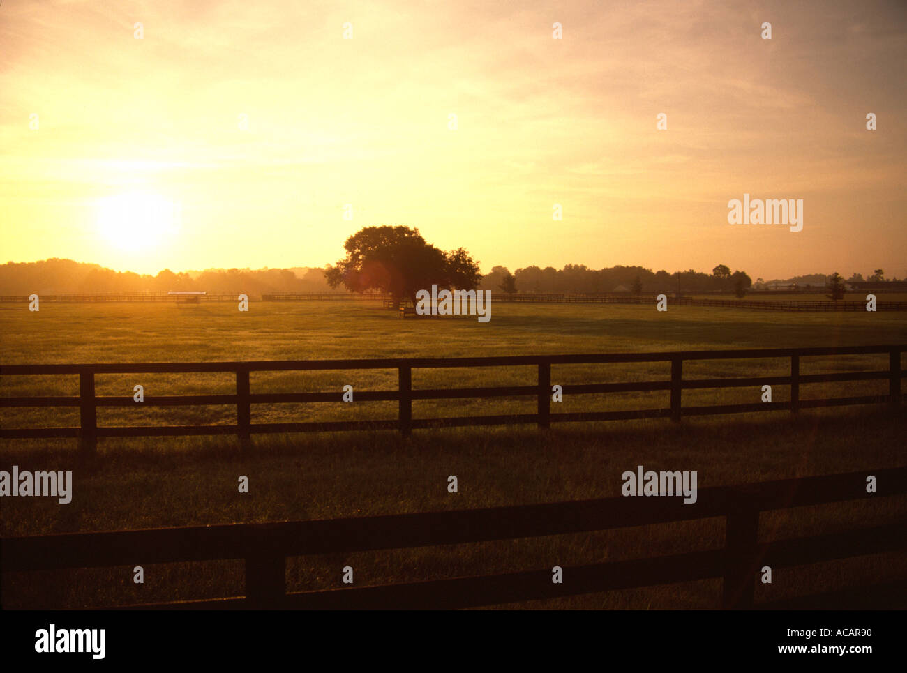 Ocala florida horse farm hi-res stock photography and images - Alamy
