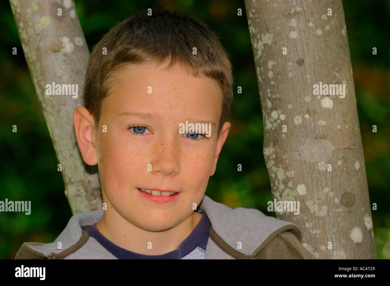 Portrait of young nine year old boy Stock Photo - Alamy