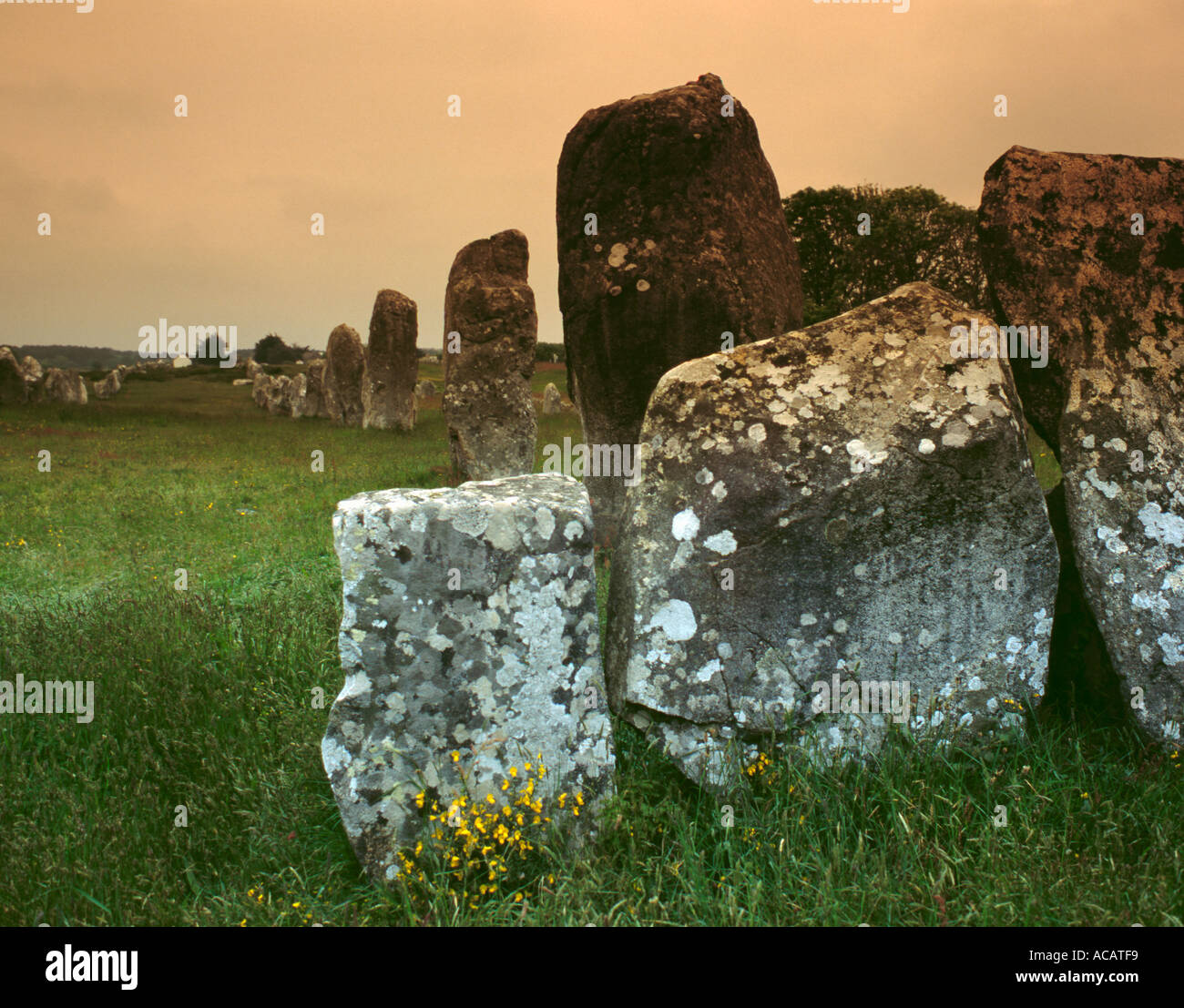 Alignements du Ménec, Carnac, Côte des Mégalithes, Bretagne (Brittany ...