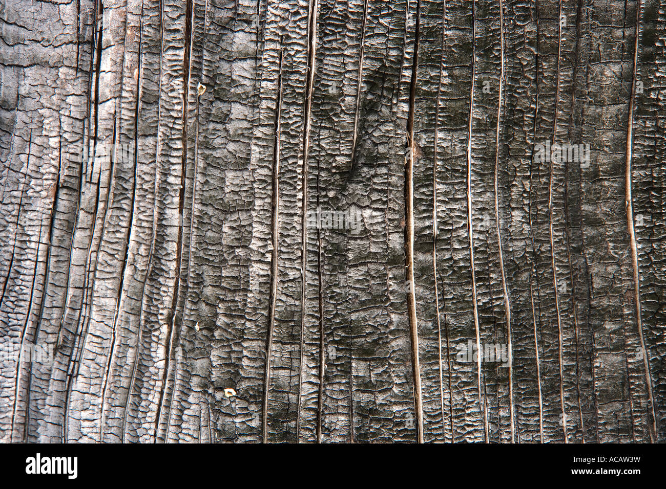Burnt timber beam hi-res stock photography and images - Alamy