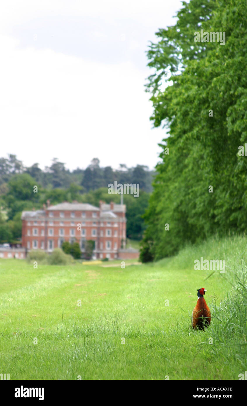 Brocket hall hi-res stock photography and images - Alamy