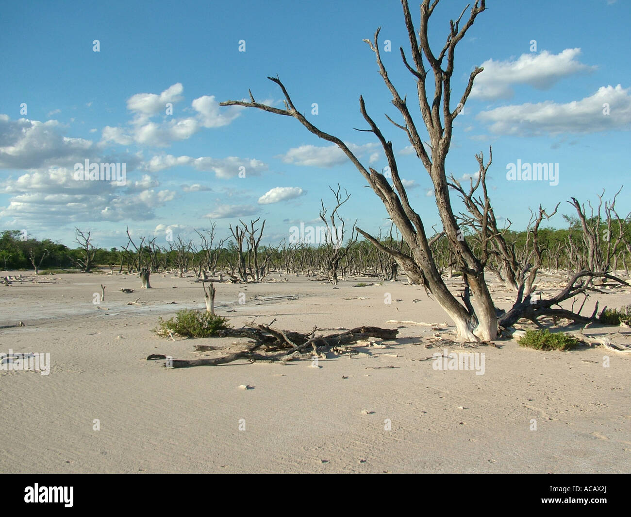 Chaco dry hi-res stock photography and images - Alamy