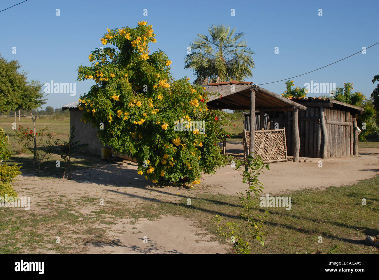Typical wooden hat at the countryside in Paraguay Stock Photo - Alamy