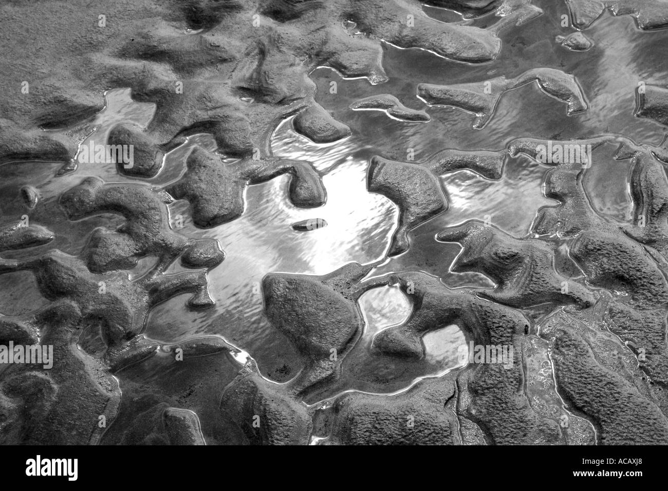 Puddle sea water Black and White Stock Photos & Images - Alamy