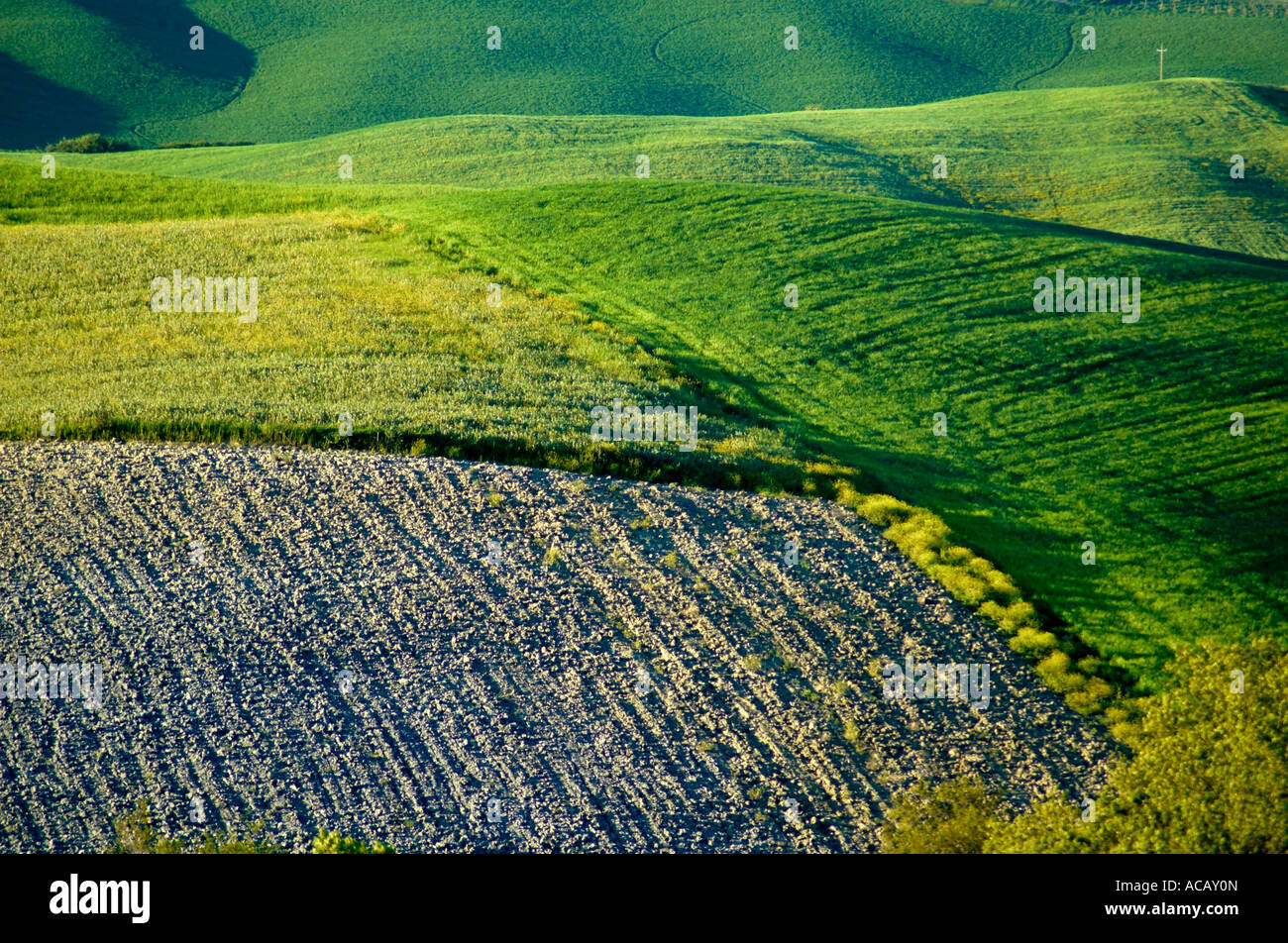 Cultivated fields in the Tuscany region of Italy Stock Photo - Alamy