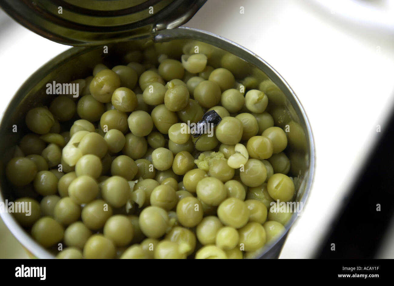 Pea bug hi-res stock photography and images - Alamy