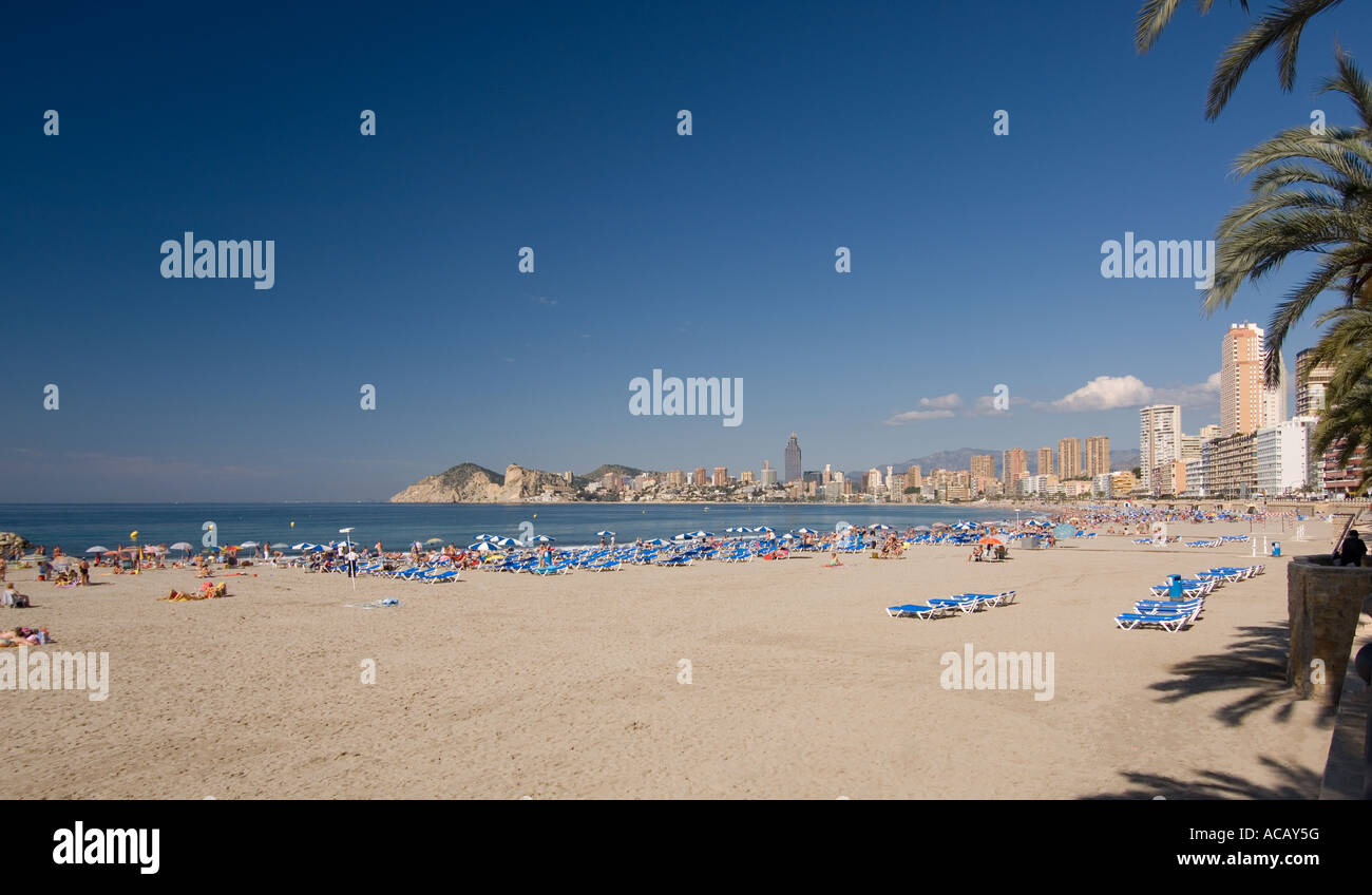 Poniente beach Benidorm Costa Blanca Spain Stock Photo - Alamy