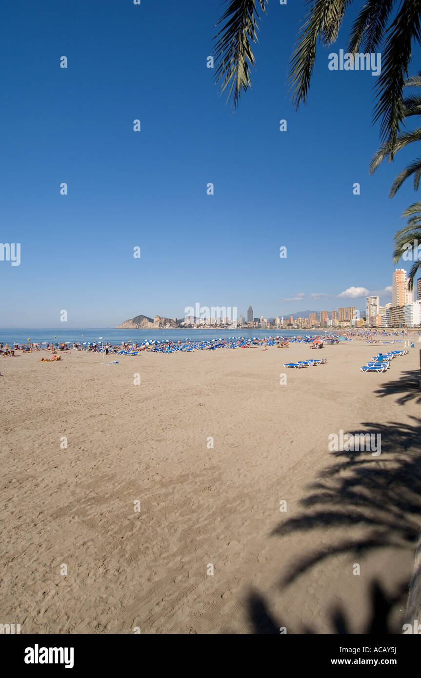 Poniente beach Benidorm Costa Blanca Spain Stock Photo - Alamy