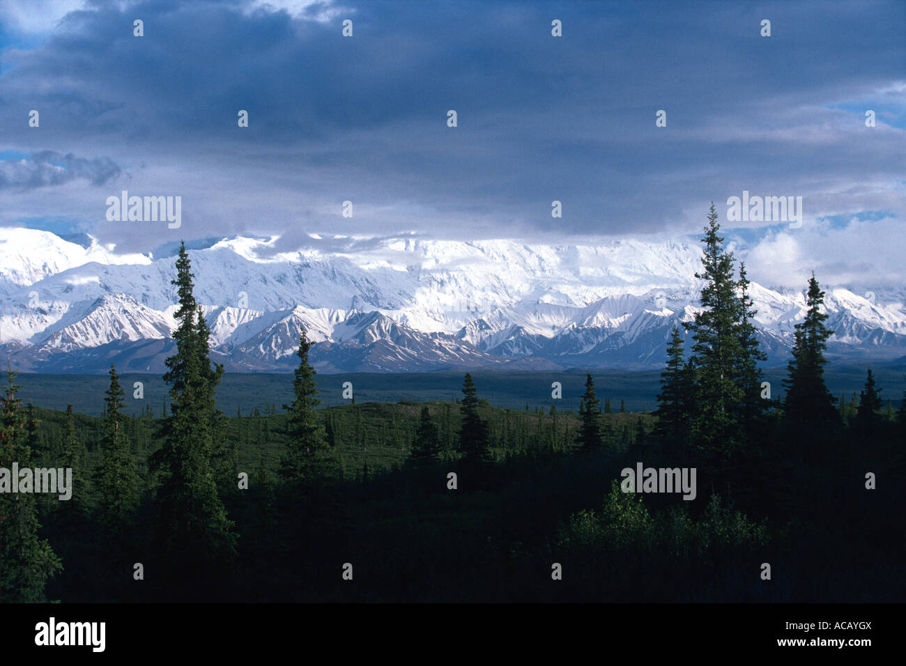 where is the denali Stock Photo - Alamy