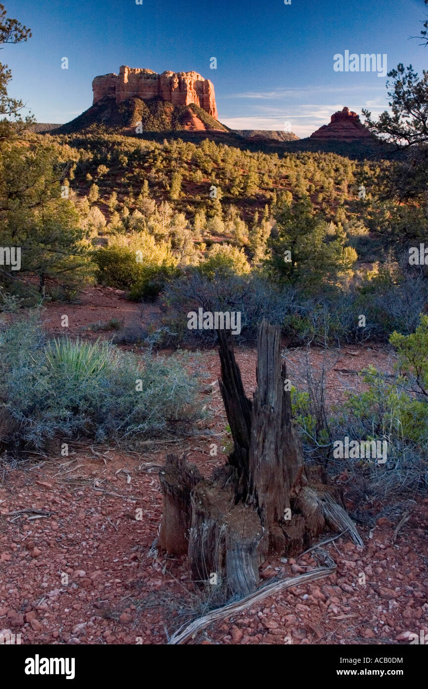 Cathedral Rock view, Sedona Arizona Stock Photo - Alamy