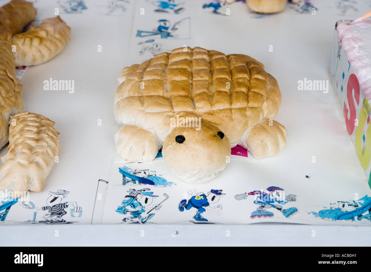 Baked pastry in the shape of a turtle Stock Photo - Alamy