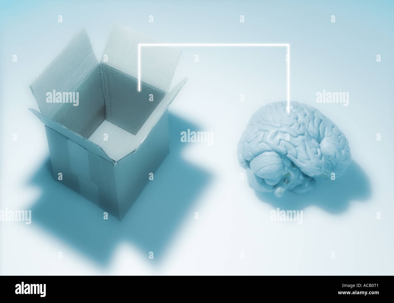 Medical model brain removed from cardboard box Stock Photo - Alamy