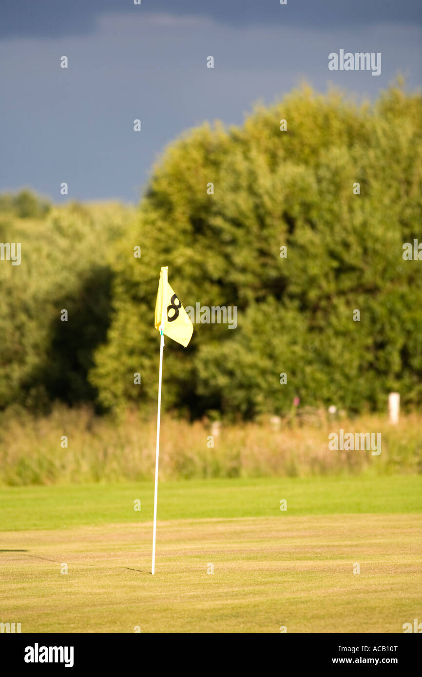 Golf course green Stock Photo - Alamy