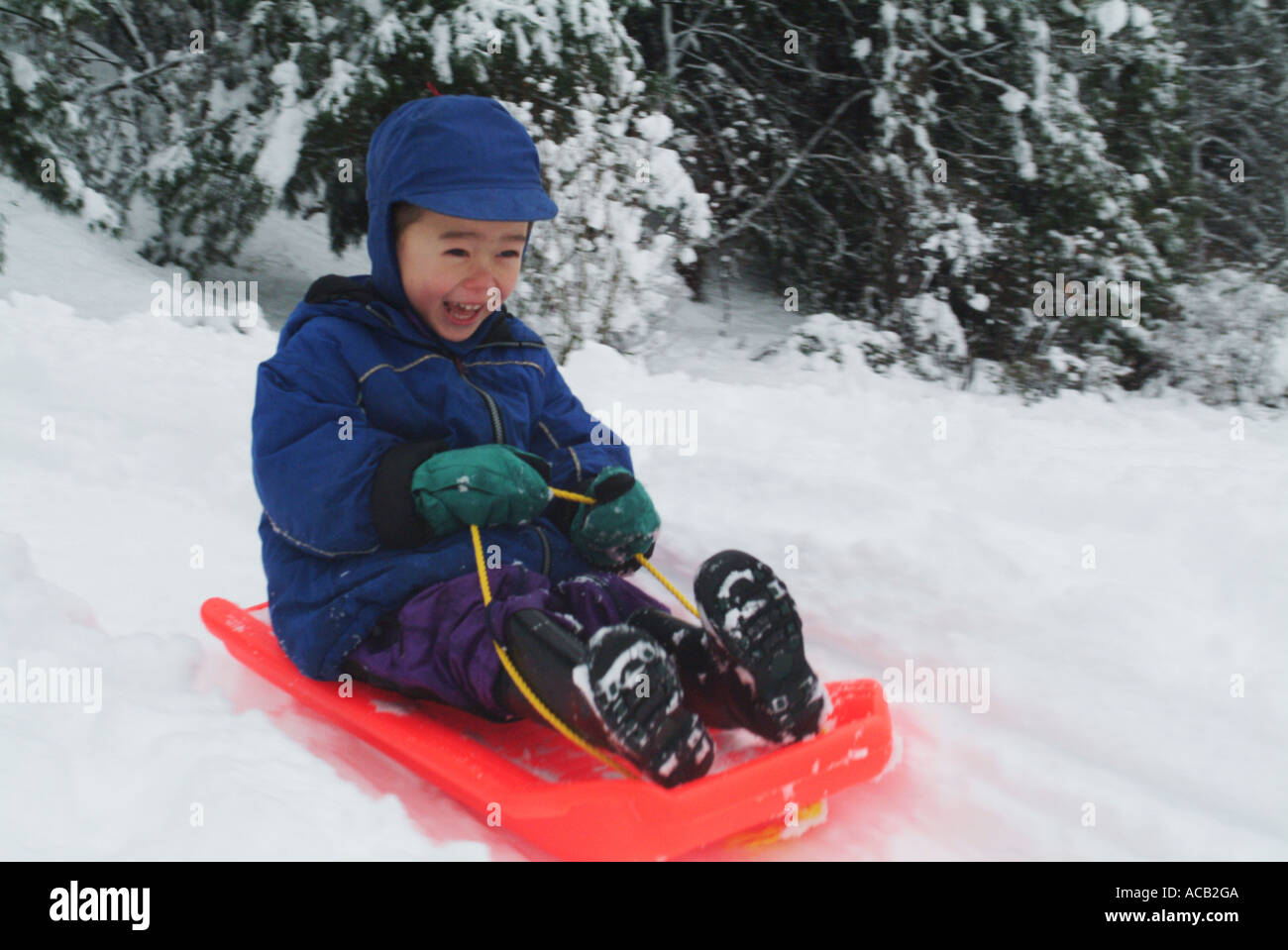 Young boy riding toboggan Stock Photo - Alamy