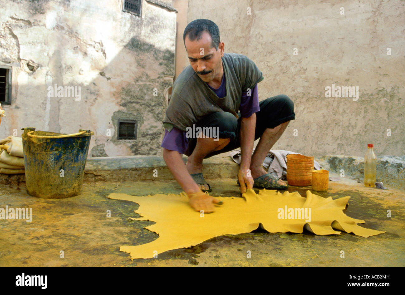 A leather worker, or tanner, hand dying goat skins with saffron on the ...