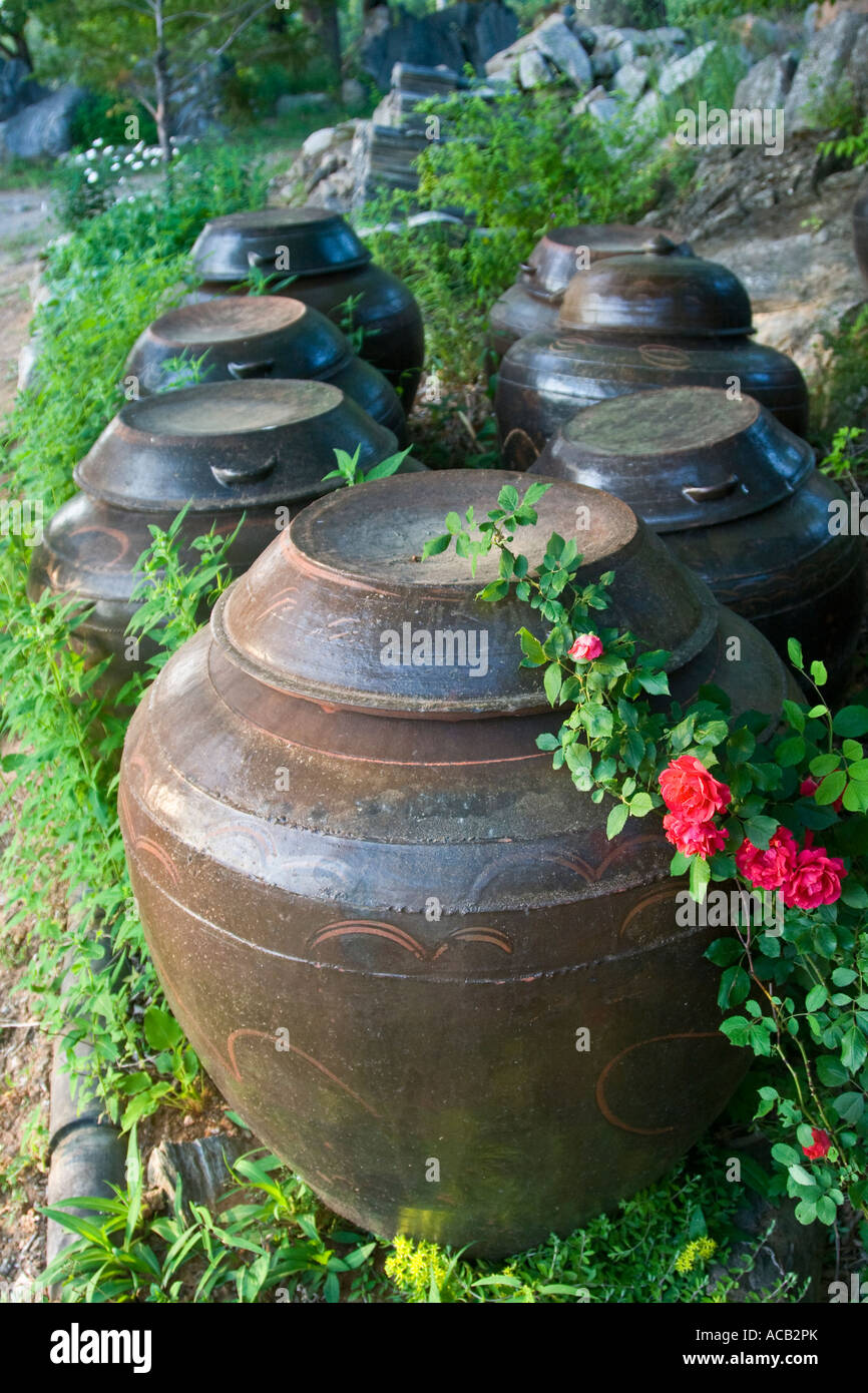 Several Large Clay Kimchi Pots in Rural Setting South Korea Stock Photo ...