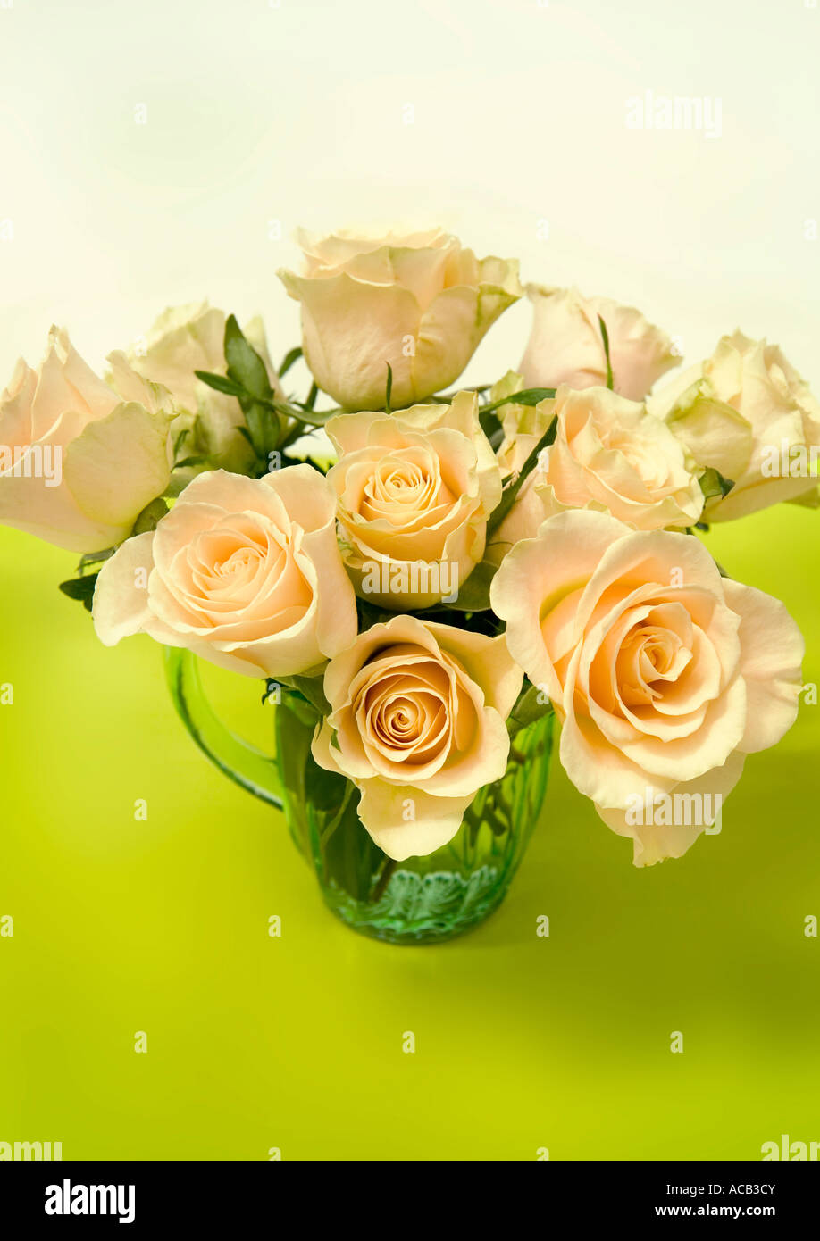 Cream green flowers hi-res stock photography and images - Alamy