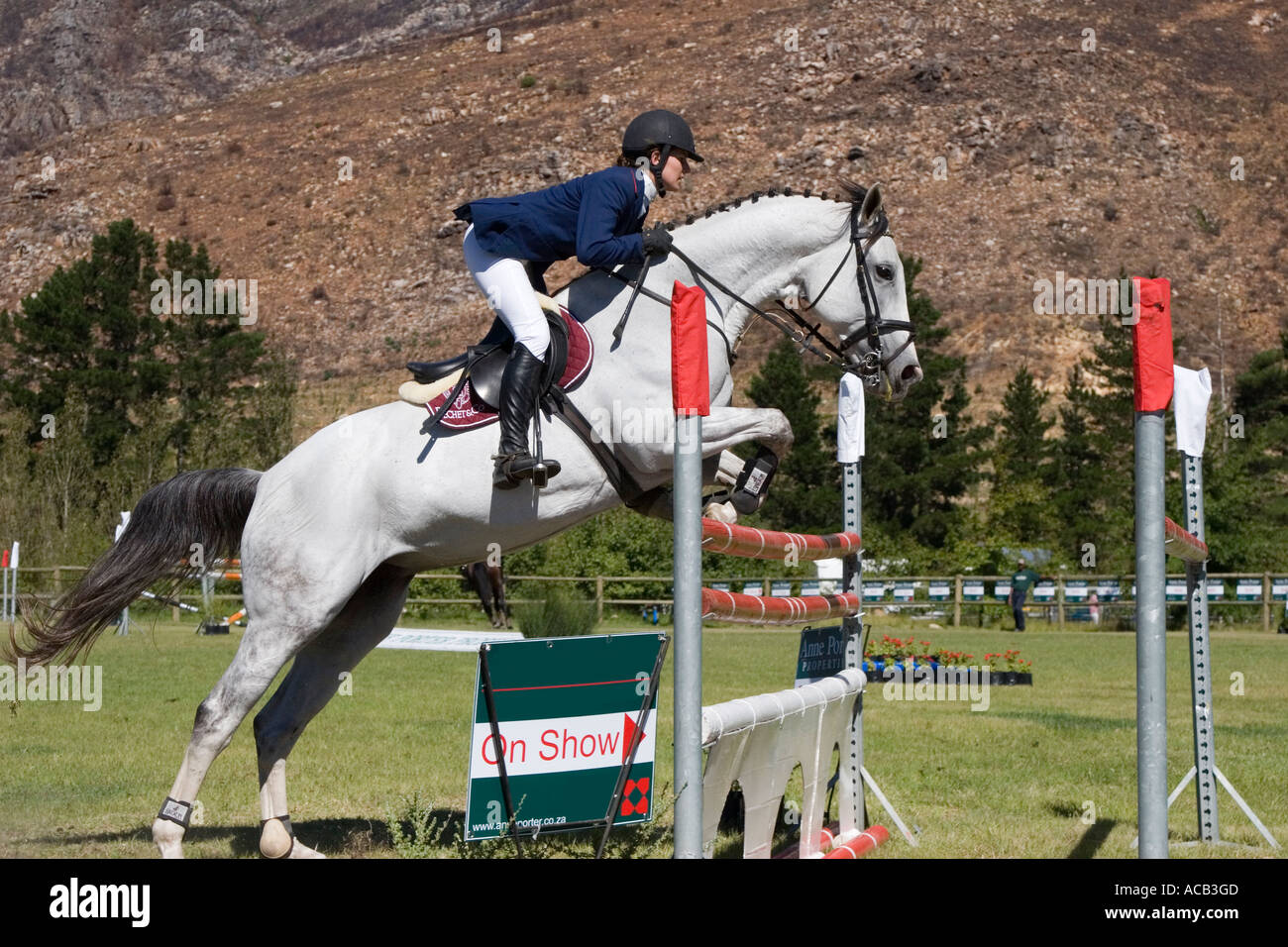 Whisper Cool, the winner of the 2006 Western Cape warmblood showjumping ...