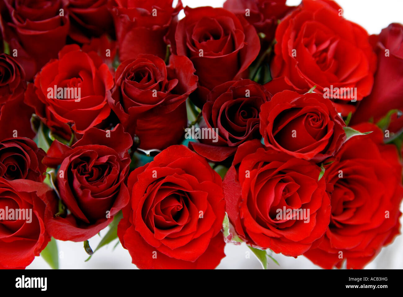 Red roses arrangement Stock Photo - Alamy