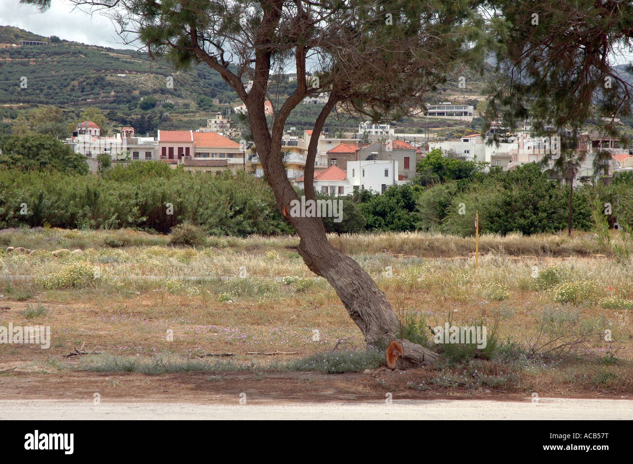 Kissamos (Kastelli) town, greek isle of Crete Stock Photo - Alamy