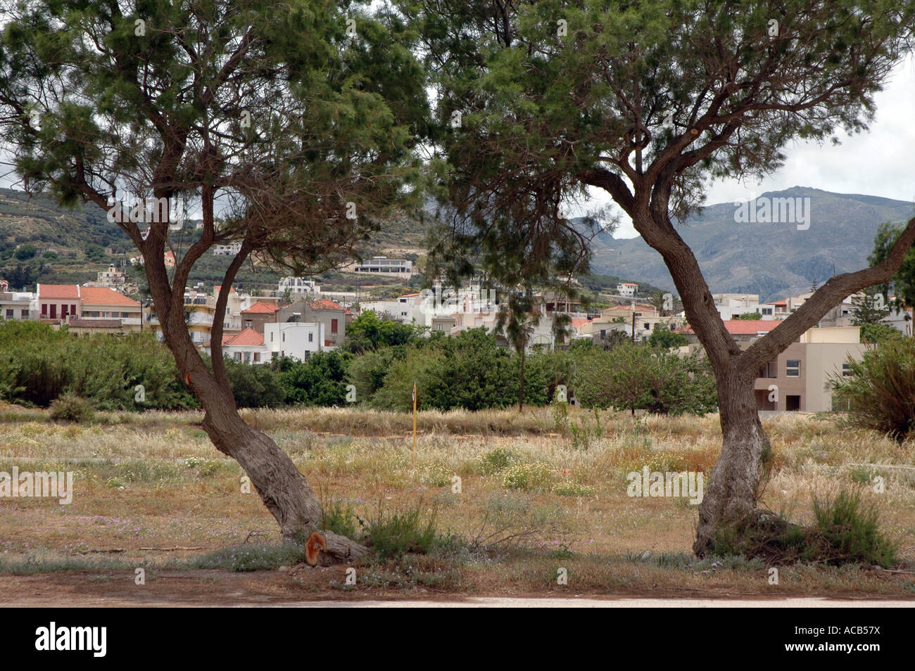 Kissamos (Kastelli) town, greek isle of Crete Stock Photo - Alamy